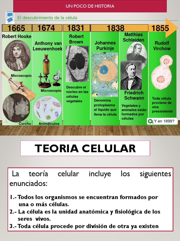 3 - Teoría Celular | PDF | Biología Celular) | Organismos