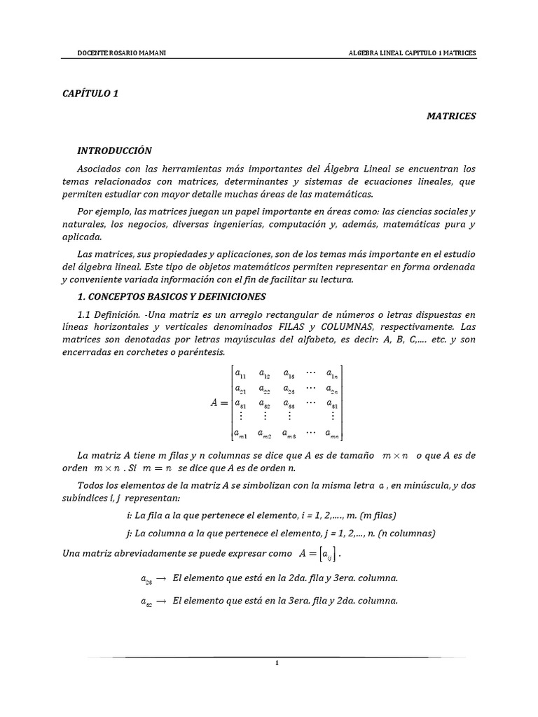 Introducción a Matrices en Álgebra Lineal | PDF | Matriz (Matemáticas) | Sustracción
