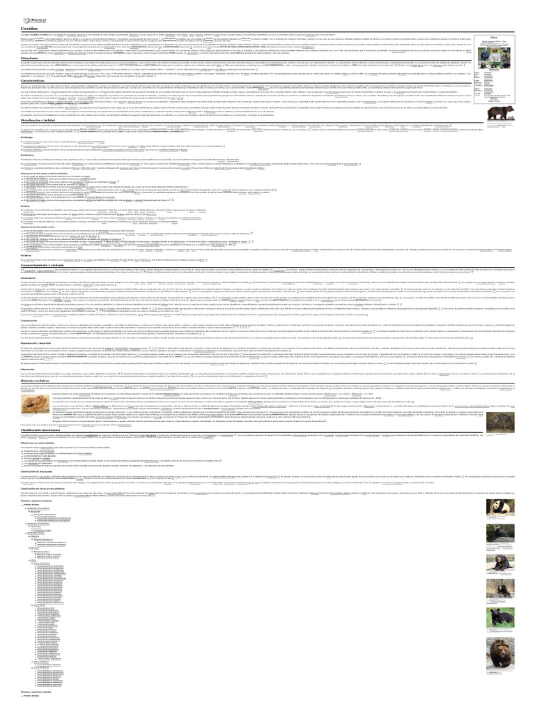 Ursidae - Wikipedia, La Enciclopedia Libre | PDF | Osos | Animales carnívoros