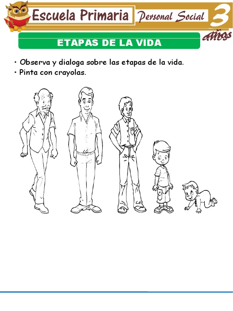 Etapas de la Vida para Niños | PDF