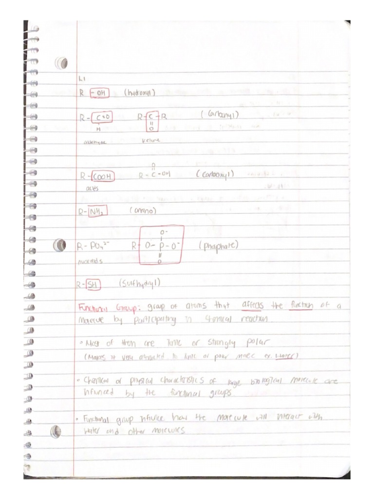 Biology Unit 1 Notes (Biochemistry) | PDF