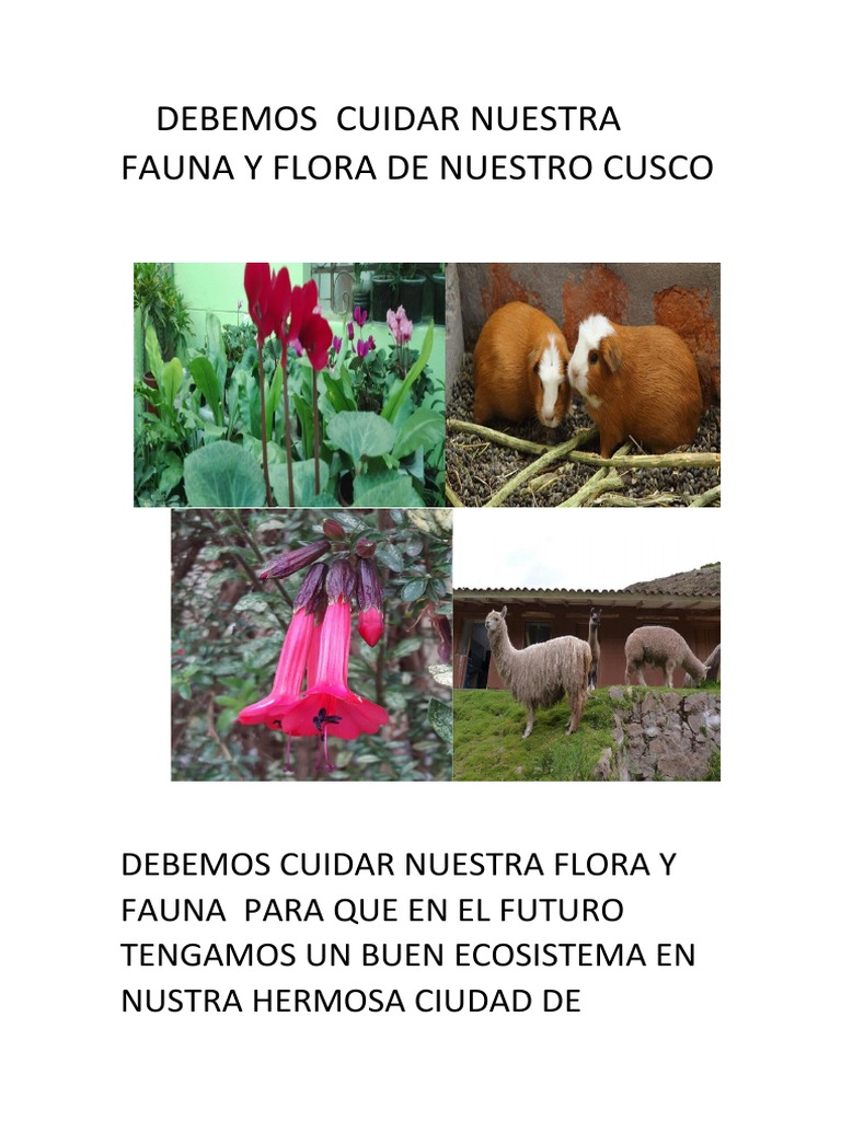 Debemos Cuidar Nuestra Fauna y Flora de Nuestro Cusco | PDF