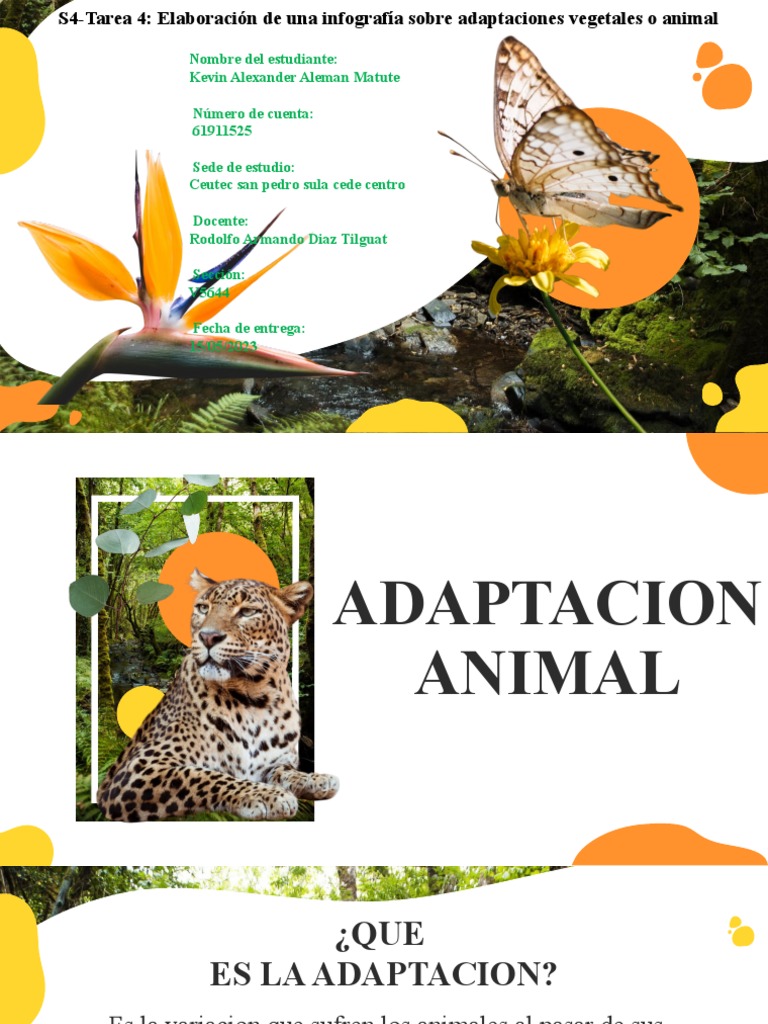 S4Tarea 4 Elaboración de Una Infografía Sobre Adaptaciones Vegetales o ...