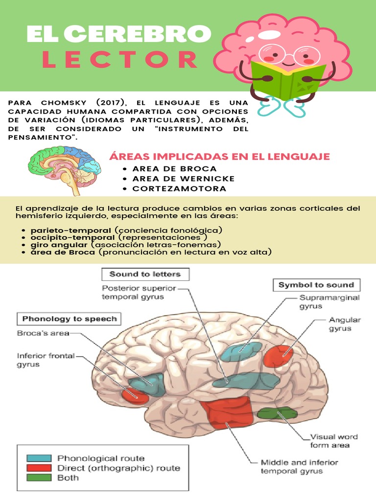 La Conciencia Fonológica Es Una de Las Bases Más Importantes para La ...