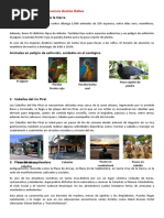 Historia y Cultura de Warnes | PDF