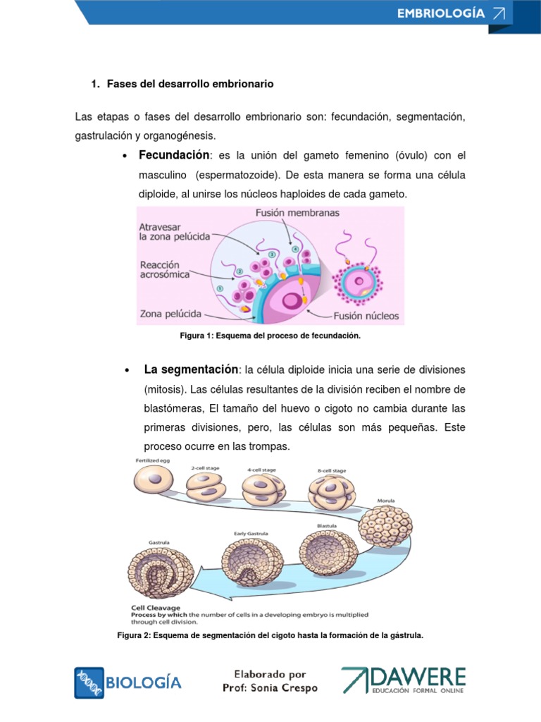 128edbb3-af00-4f0a-a06d-9a84c7ef5ea2 | PDF