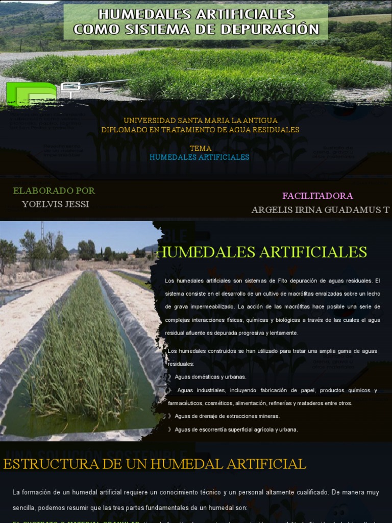 Humedales Artificiales | PDF | Aguas residuales | Agua