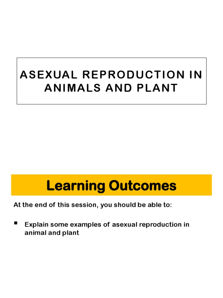 C8.2 - Asexual Reproduction in Animals & Plant | PDF | Plant ...