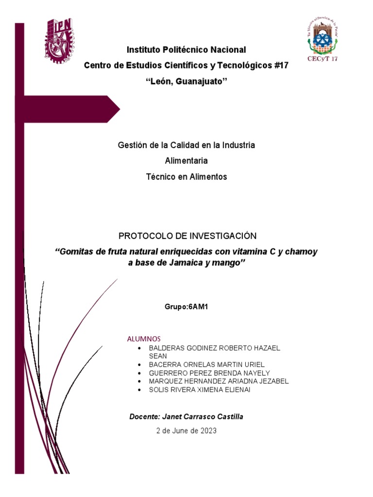 Protocolo de Investigación - Eq.5 | PDF