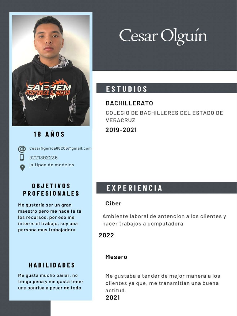 Curriculum Alexis | PDF