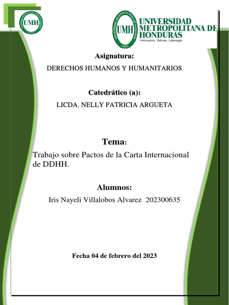 Analisis de La Carta Internacional de DDHH | PDF | Derechos humanos ...