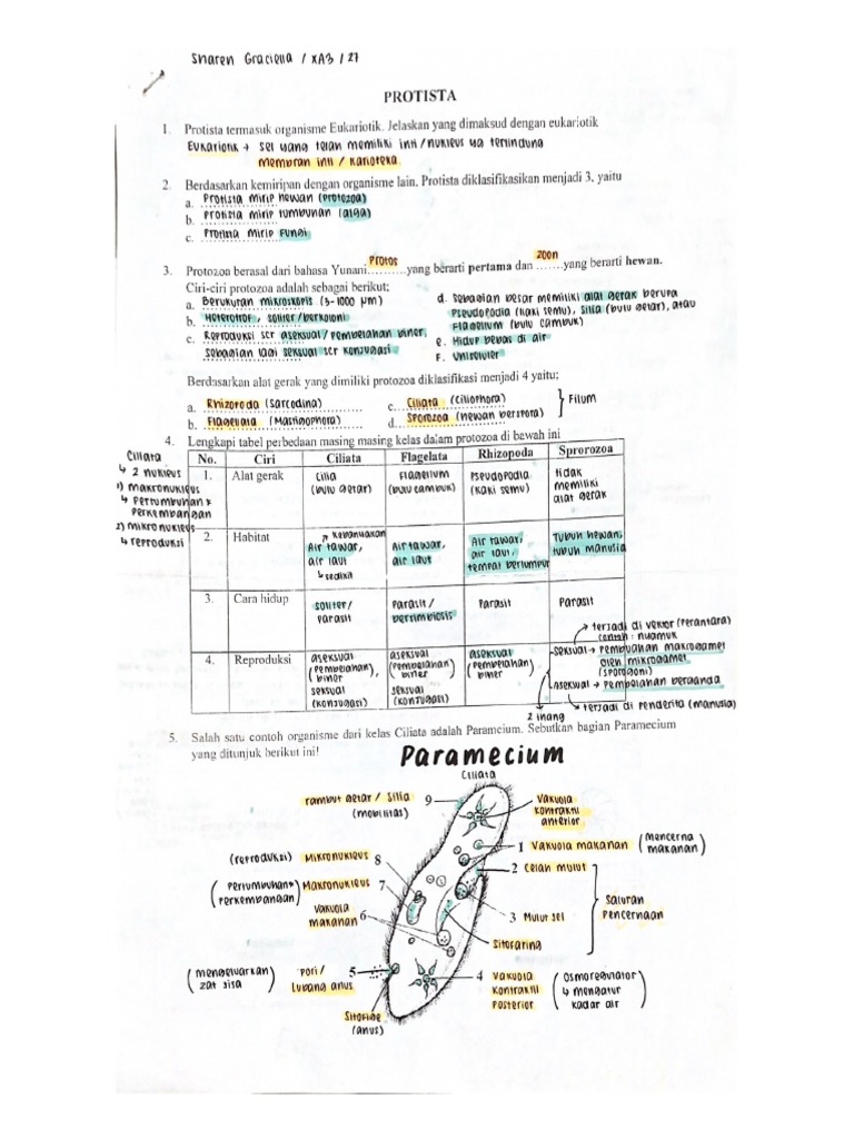 8-Protista | PDF
