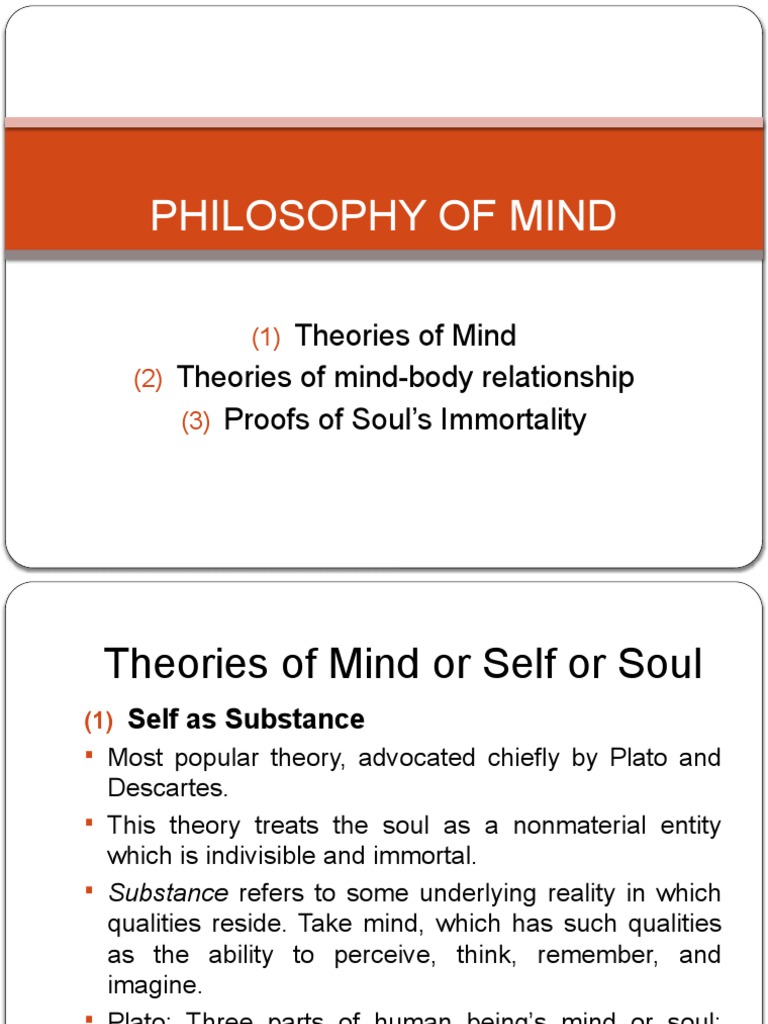 Philosophy of Mind | PDF
