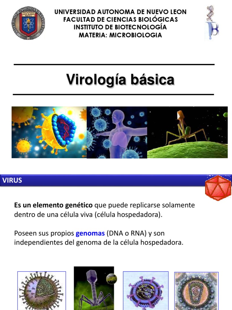 2-VIROLOGIA BASICA | PDF | Virus | Bacteriófago