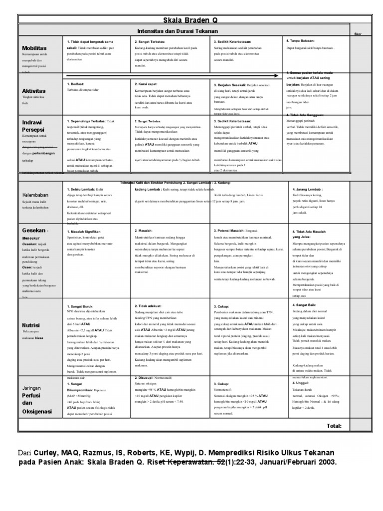 Braden Q Scale Indo | PDF