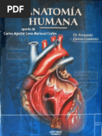 Netter - Anatomía de Cabeza y Cuello para Odontólogos, 3rd Edition Full ...