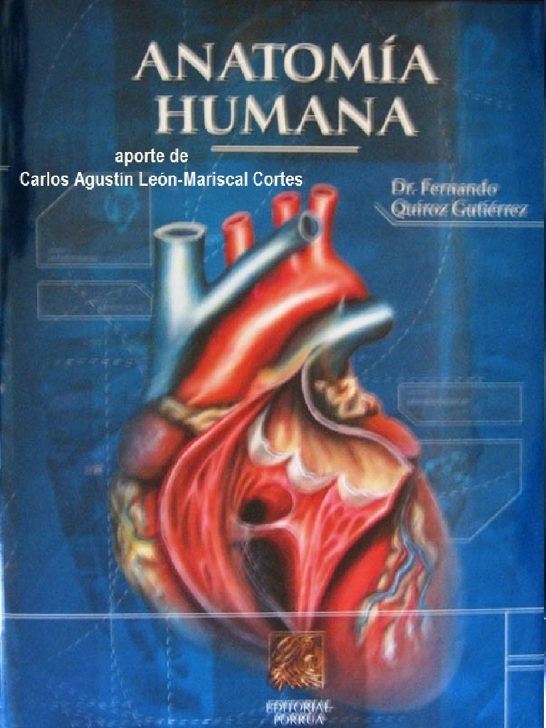 Anatomia Humana Quiroz, Tomo 2 | PDF