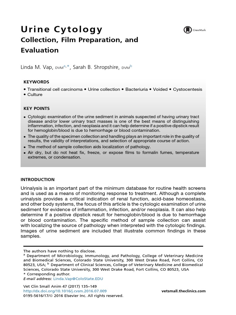 Urine Cytology | PDF | White Blood Cell | Staining