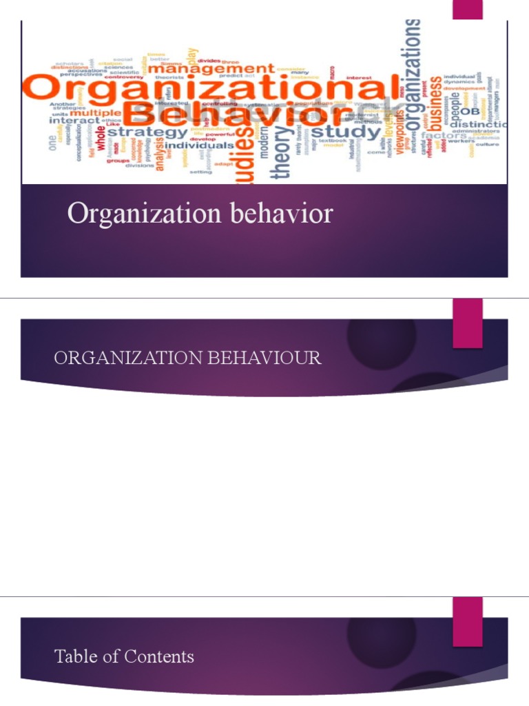 Organization Behavior | PDF