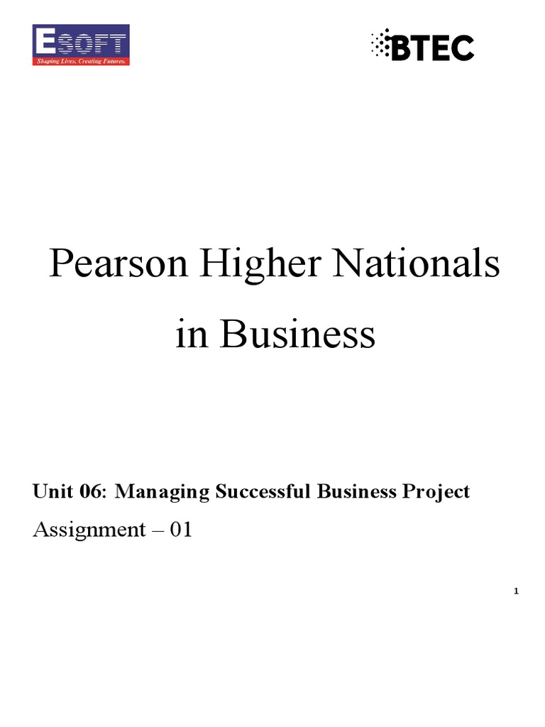 Assignment | PDF | Project Management | Mobile App