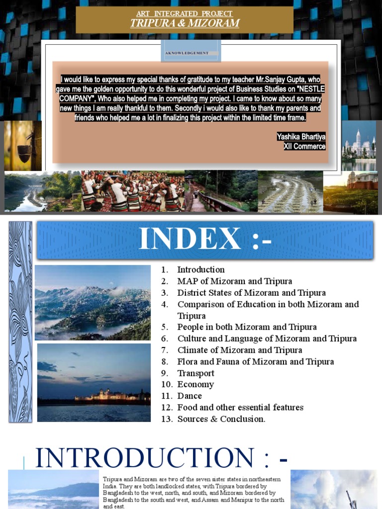 Art Integrated Project | PDF