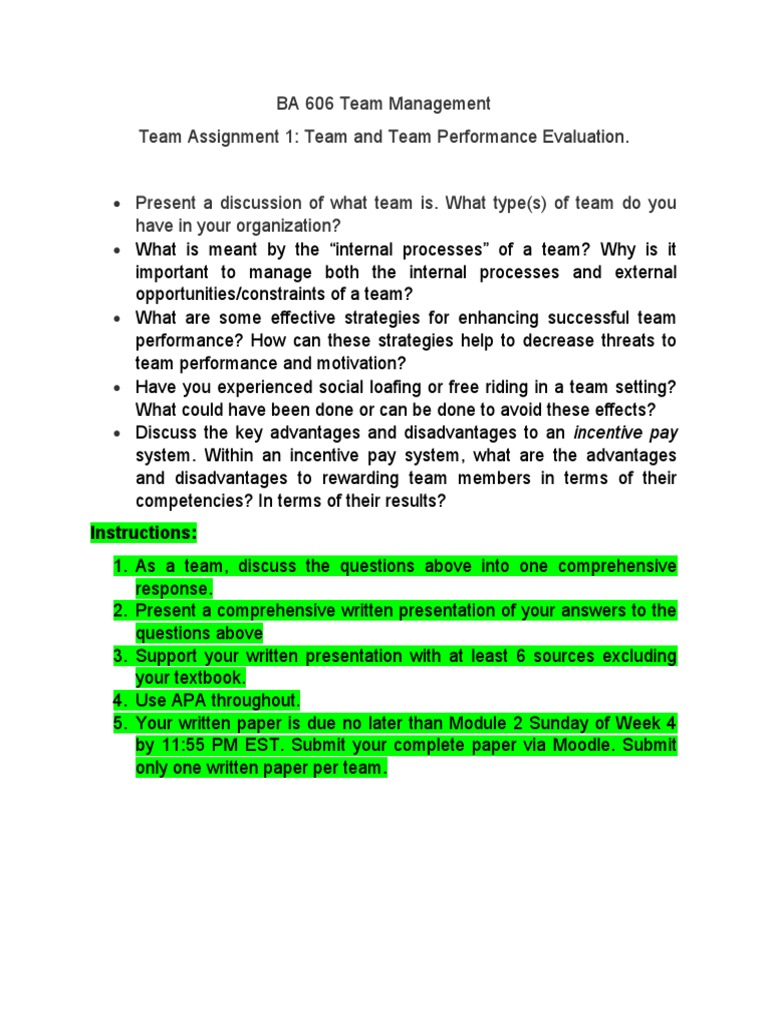Team Management and Performance Evaluation | PDF