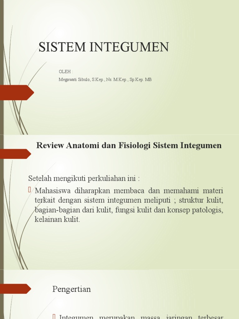 Sistem Integumen | PDF