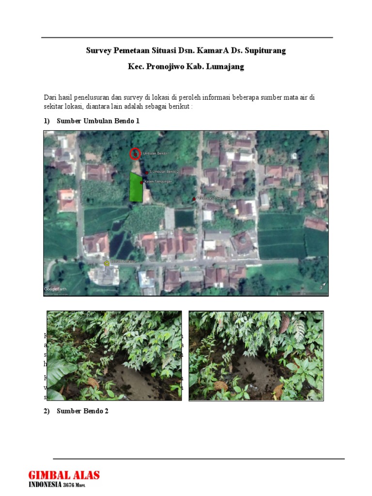 Survey Pemetaan Situasi DSN | PDF | Sains & Matematika