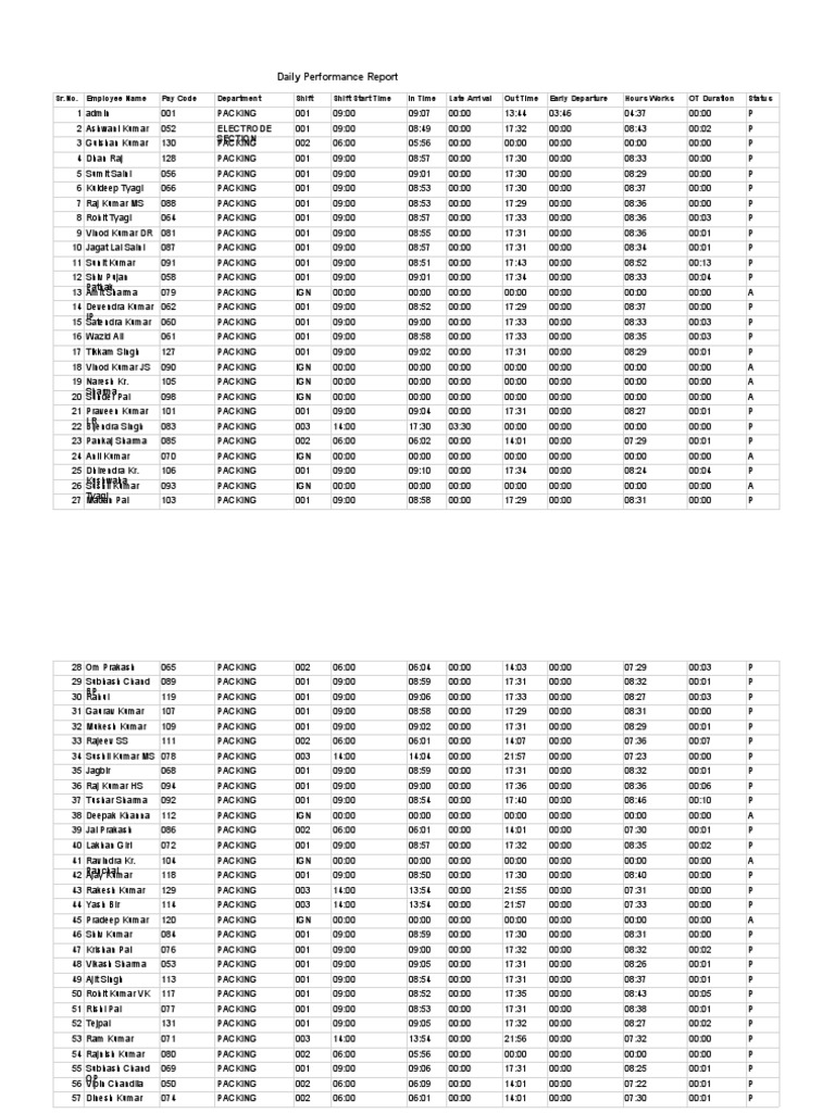 Daily Performance Report | PDF