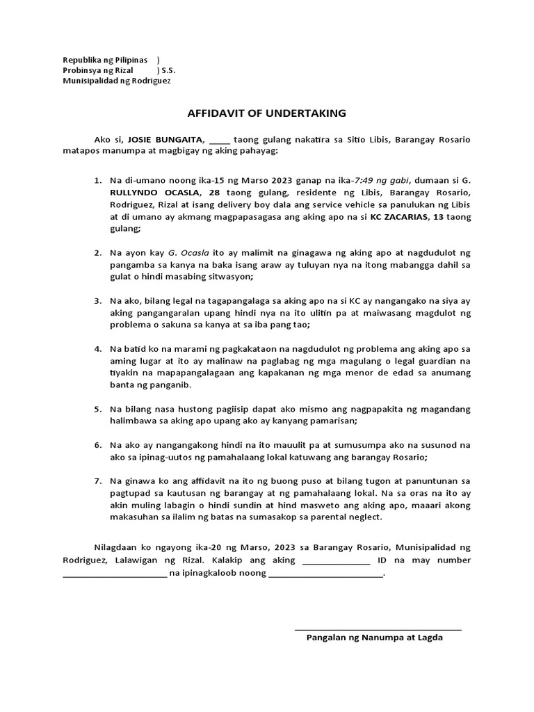 Affidavit of Undertaking | PDF