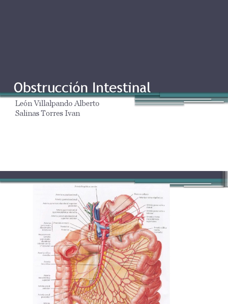 Obstrucción Intestinal: Causas y Manejo | PDF | Medicina CLINICA ...
