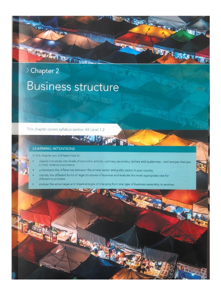 Chapter 2 - Business Structure | PDF