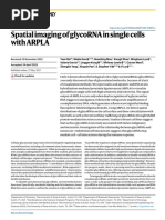 RSPM Scoring Key and Response Sheet | PDF | Tests | Intelligence Quotient