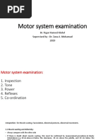 Understanding Pyramidal Weakness | PDF | Anatomical Terms Of Motion ...