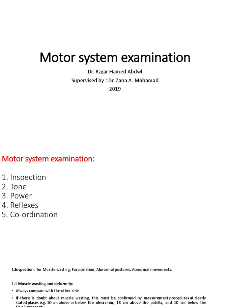 Motor System Examination Overview | PDF | Anatomical Terms Of Motion | Hand