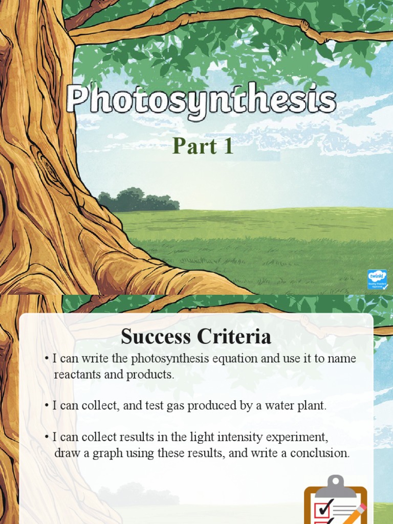 Photosynthesis Process and Experiments | PDF | Photosynthesis | Plants