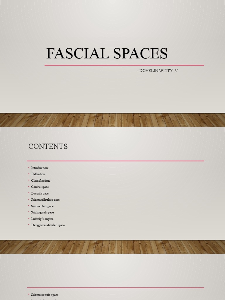 Fascial Spaces | PDF | Common Carotid Artery | Tongue