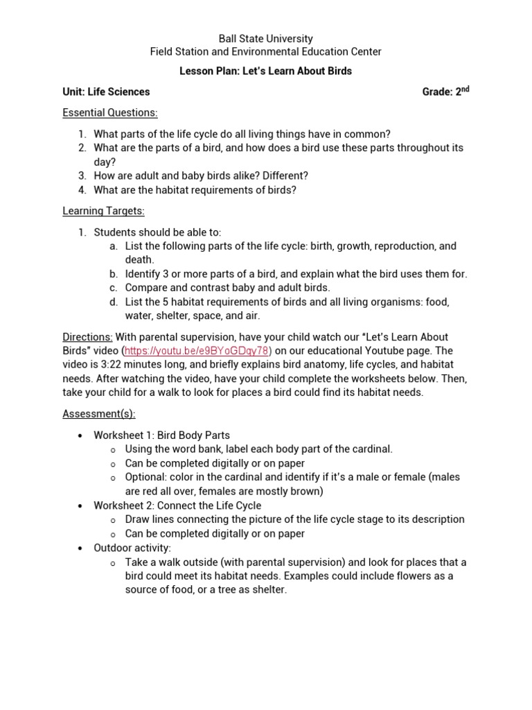 Lesson Plan - Lets Learn About Birds 2nd | PDF