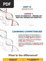Harry Potter Genetics | PDF | Dominance (Genetics) | Allele