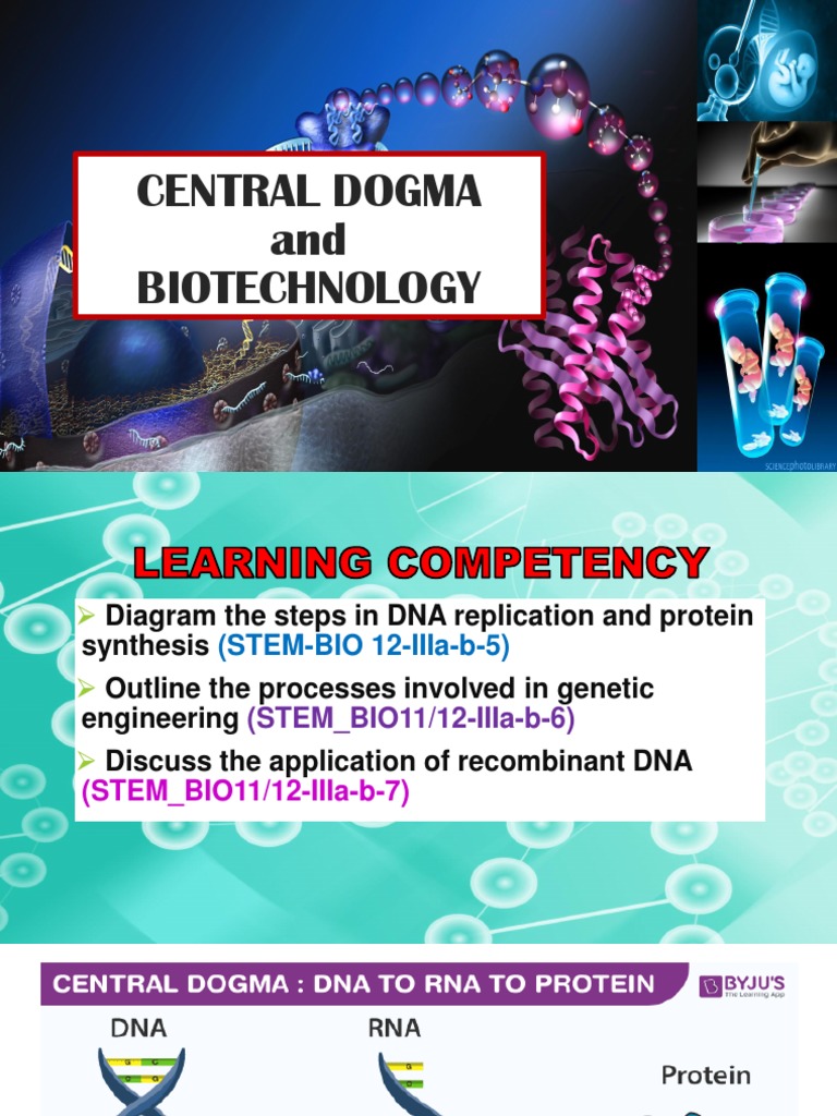 Genbio - Unit 2 - Genetics - L3 - Central Dogma and Biotechnology | PDF | Genetic Engineering ...