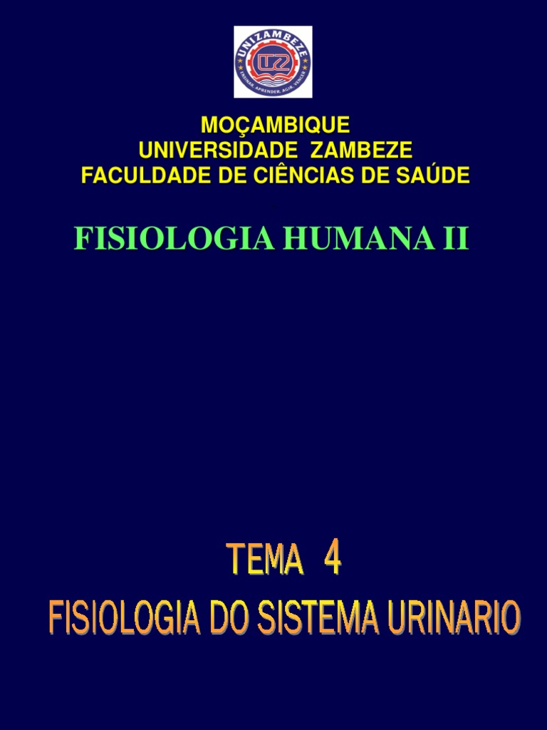Aula 14 Funcao glomérulo-tubular. Depuracao plasmática | PDF | Rim ...