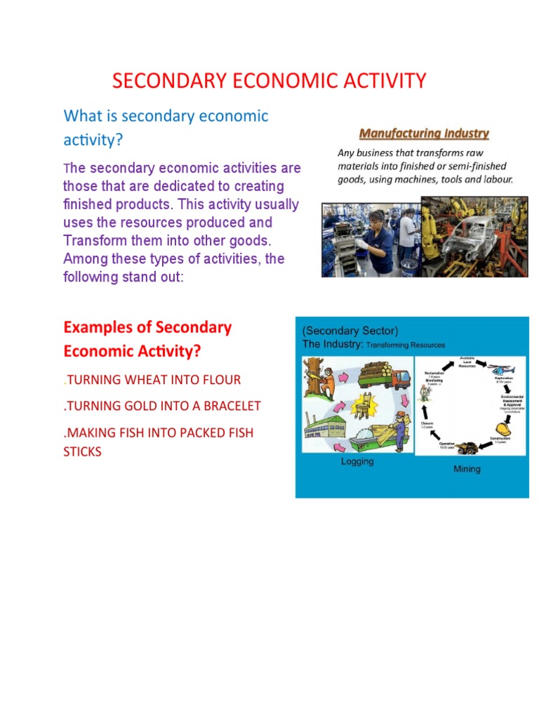 Secondary Economic Activity by Syed.m 8-c | PDF