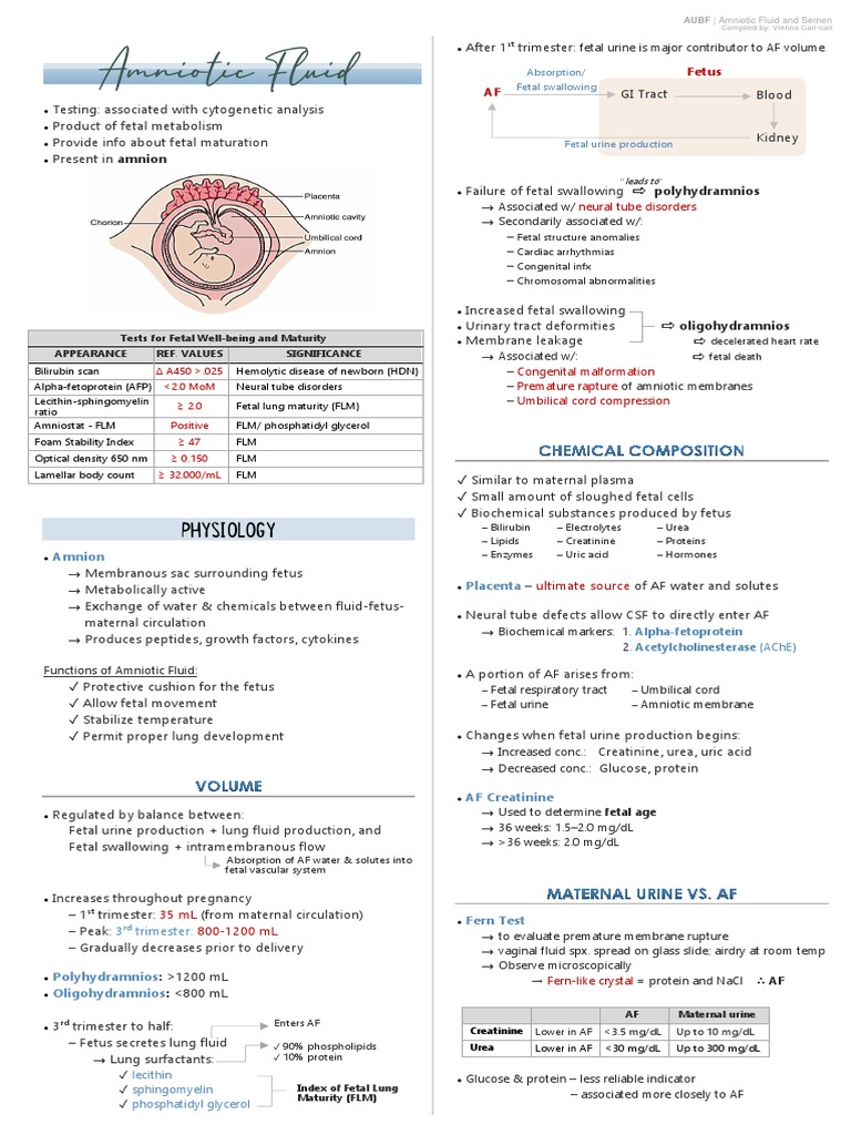 AUBF - Amniotic Fluid and Semen Study Material | PDF | Fetus | Semen