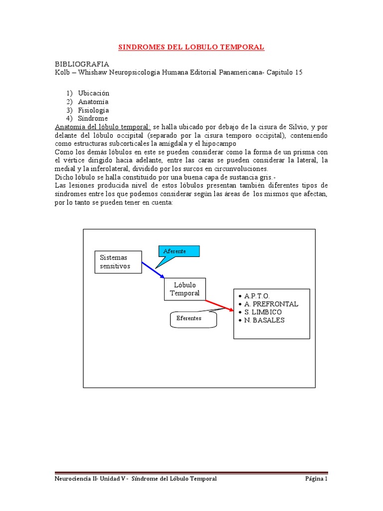 Enfermedades del Lóbulo Temporal Izquierdo | PDF | Lóbulo temporal ...