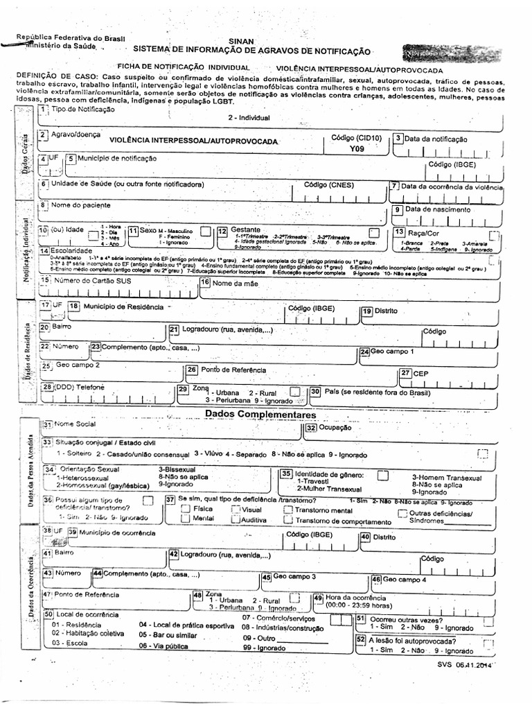 Sinan - Ficha de Notificação Individual | PDF