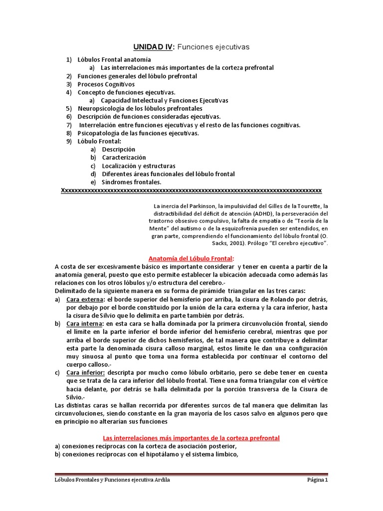 UNIDAD IV Funciones Ejecutivas 2017 | PDF