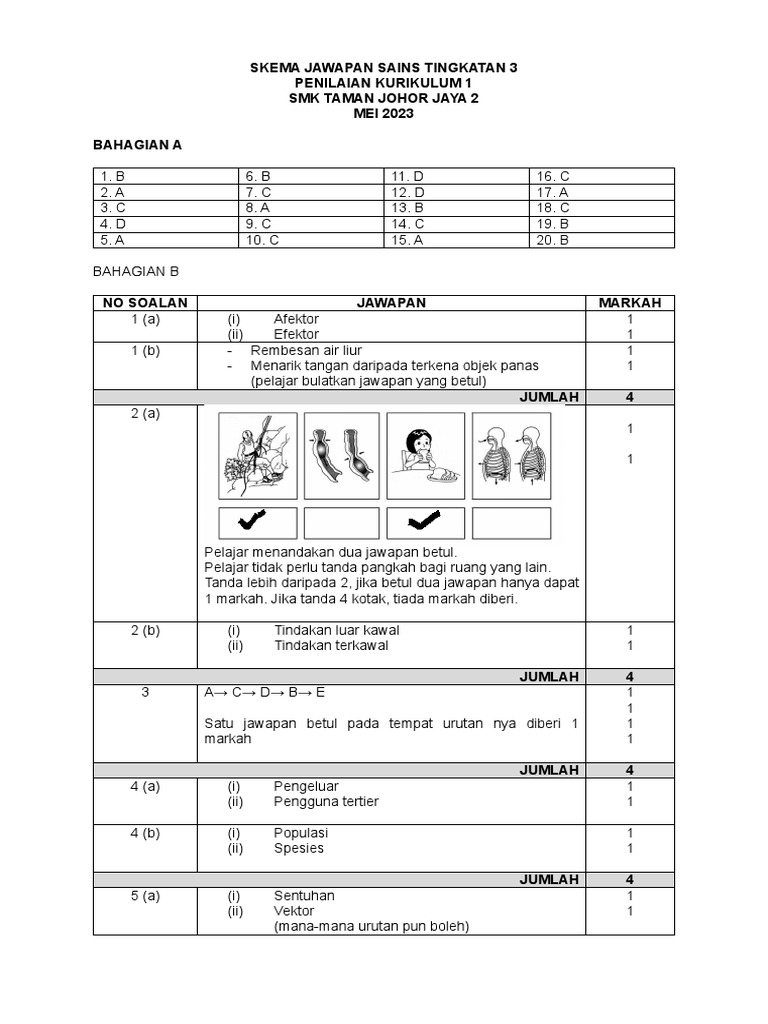 Skema Jawapan Sains Tingkatan 3 | PDF