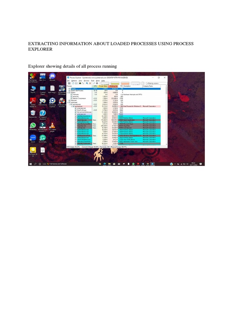 Process Explorer for Mac Insights | PDF