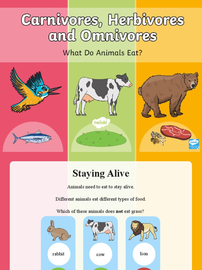 T SC 2549595 Ks1 Carnivores Herbivores and Omnivores Powerpoint Ver 5 ...