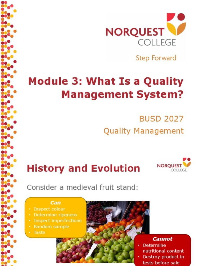 BUSD2027 QualityMgmt Module3 PwrPoint 16jun17 | PDF | Quality Management System | Iso 9000